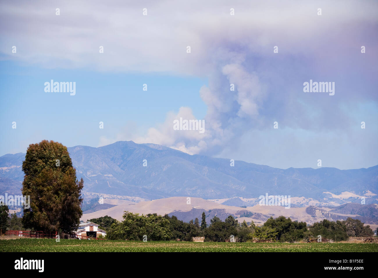 Zaca hi-res stock photography and images - Alamy