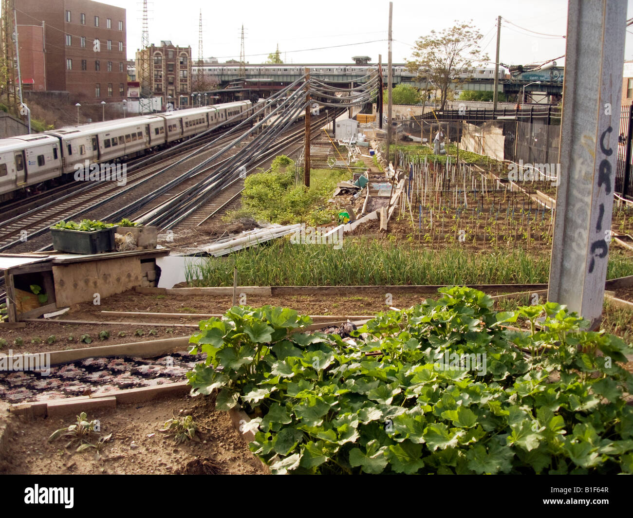 Long island city queens farm hi-res stock photography and images - Alamy