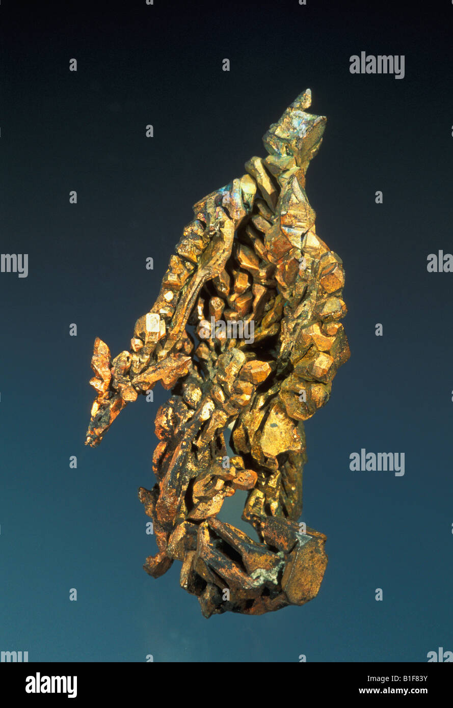 Example native hi-res stock photography and images - Alamy