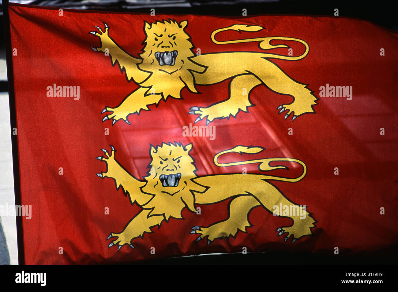 Normandy flag in Rouen, France Stock Photo - Alamy