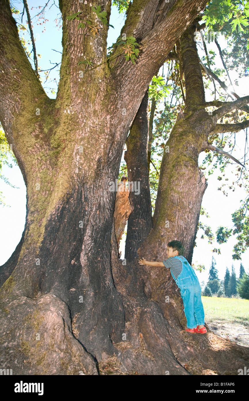 Asian boy hugging tree Stock Photo - Alamy