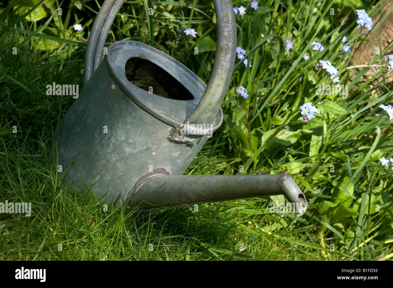 Traditional garden hi-res stock photography and images - Alamy