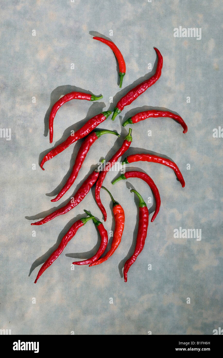 Red Hot Chilli Peppers Stock Photo - Alamy