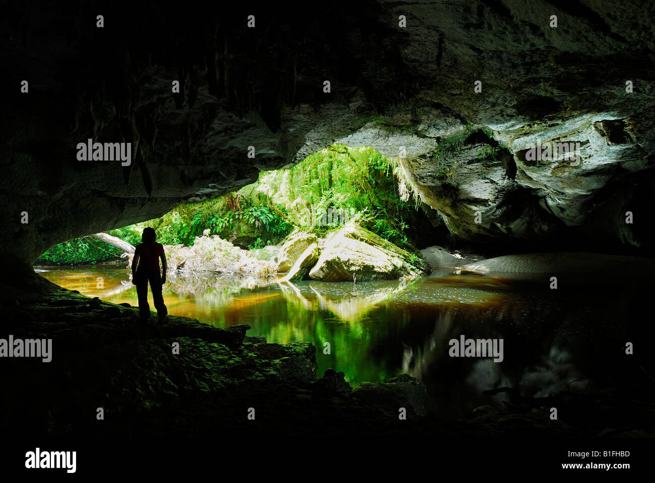 Moria Gate Arch Oparara River Oparara Basin Kahurangi Nationalpark ...