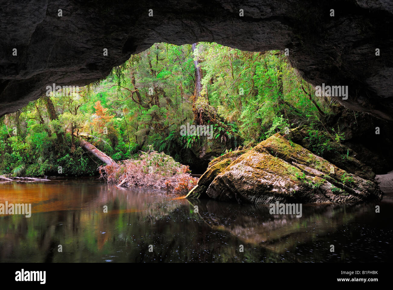 Moria Gate Arch Oparara River Oparara Basin Kahurangi Nationalpark ...