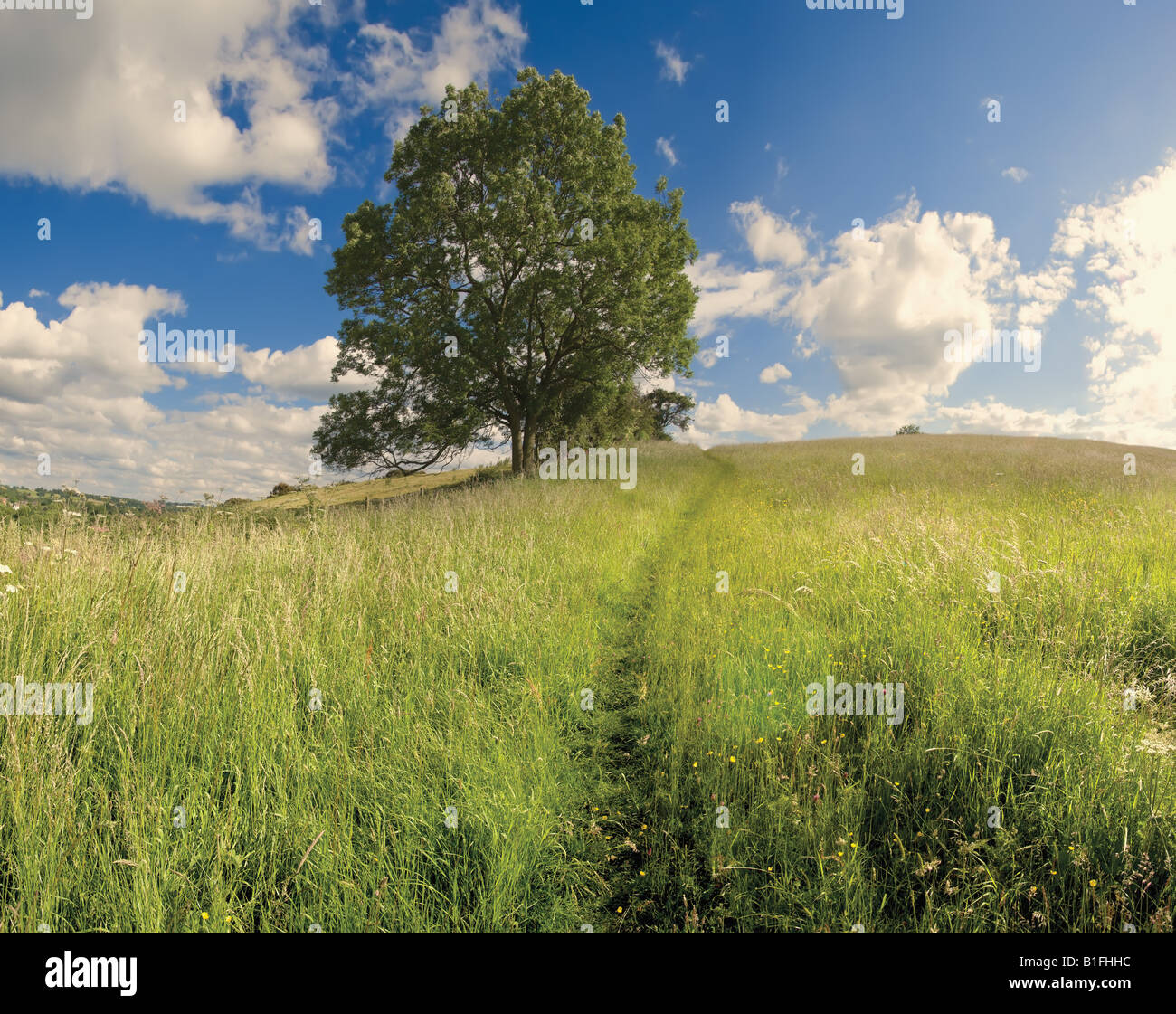 The grounds of a country estate Stock Photo - Alamy