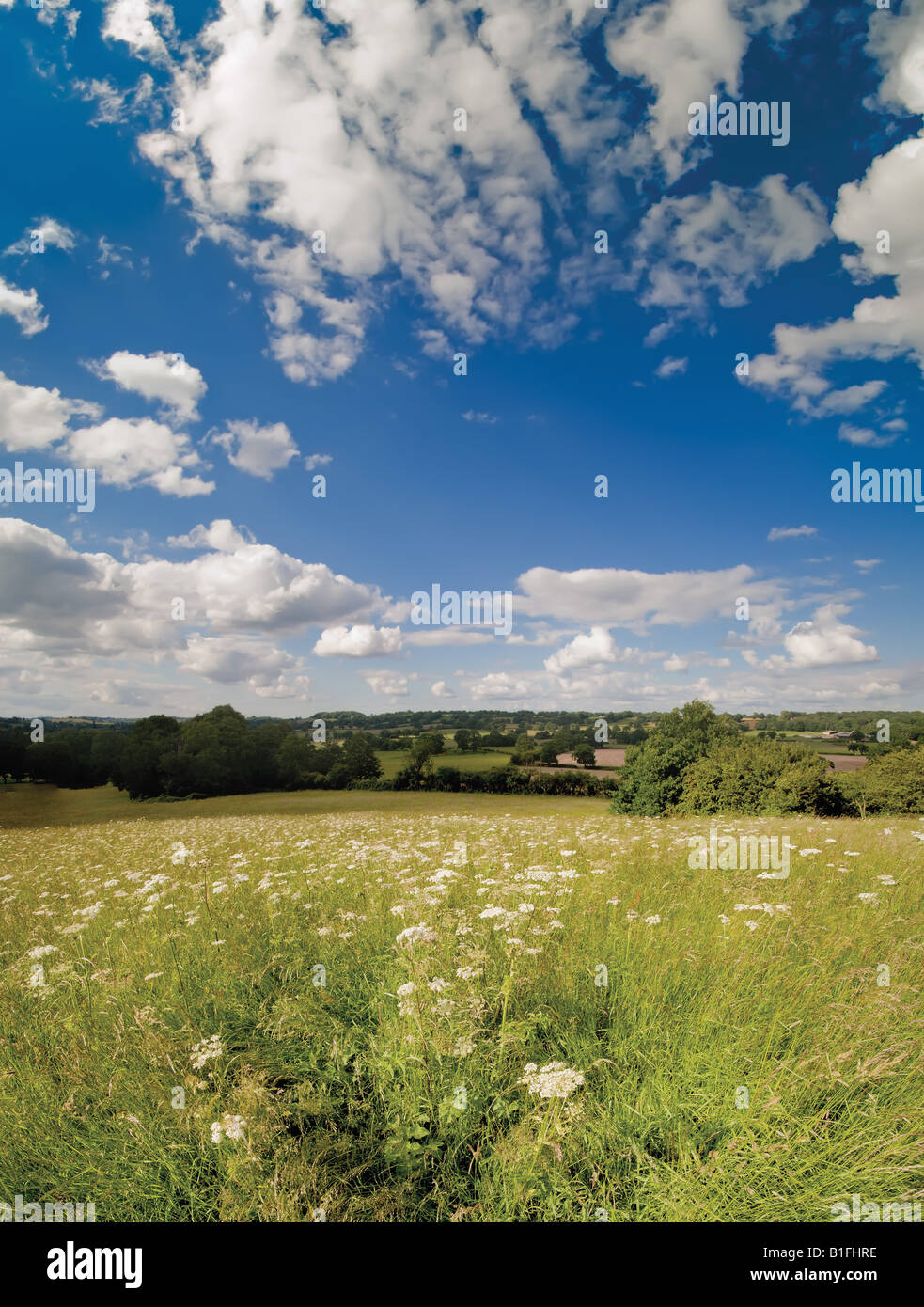 Beoley hi-res stock photography and images - Alamy