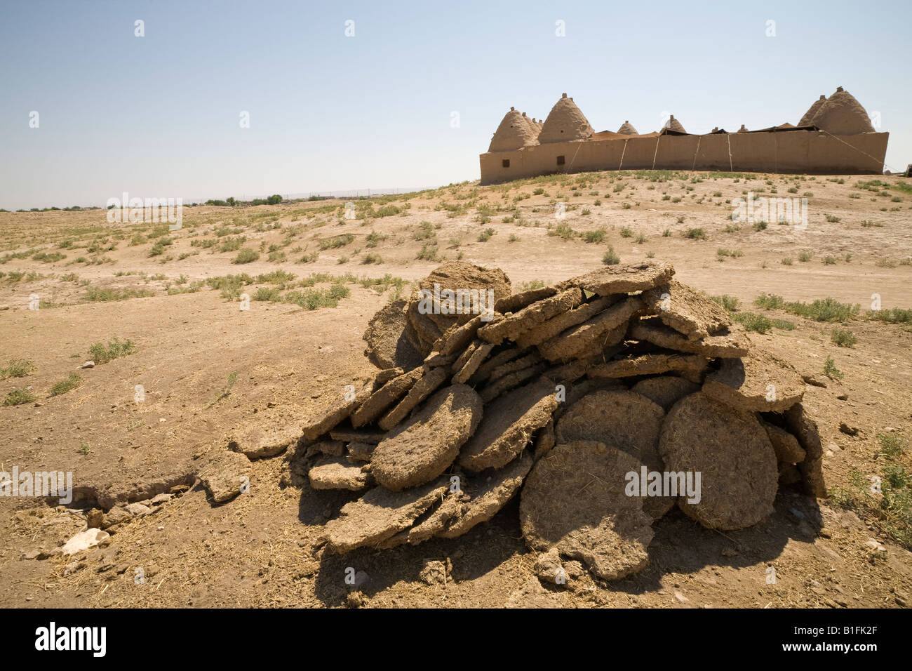 Dung pats in sun and traditional mudbrick 'beehive' houses in the ...