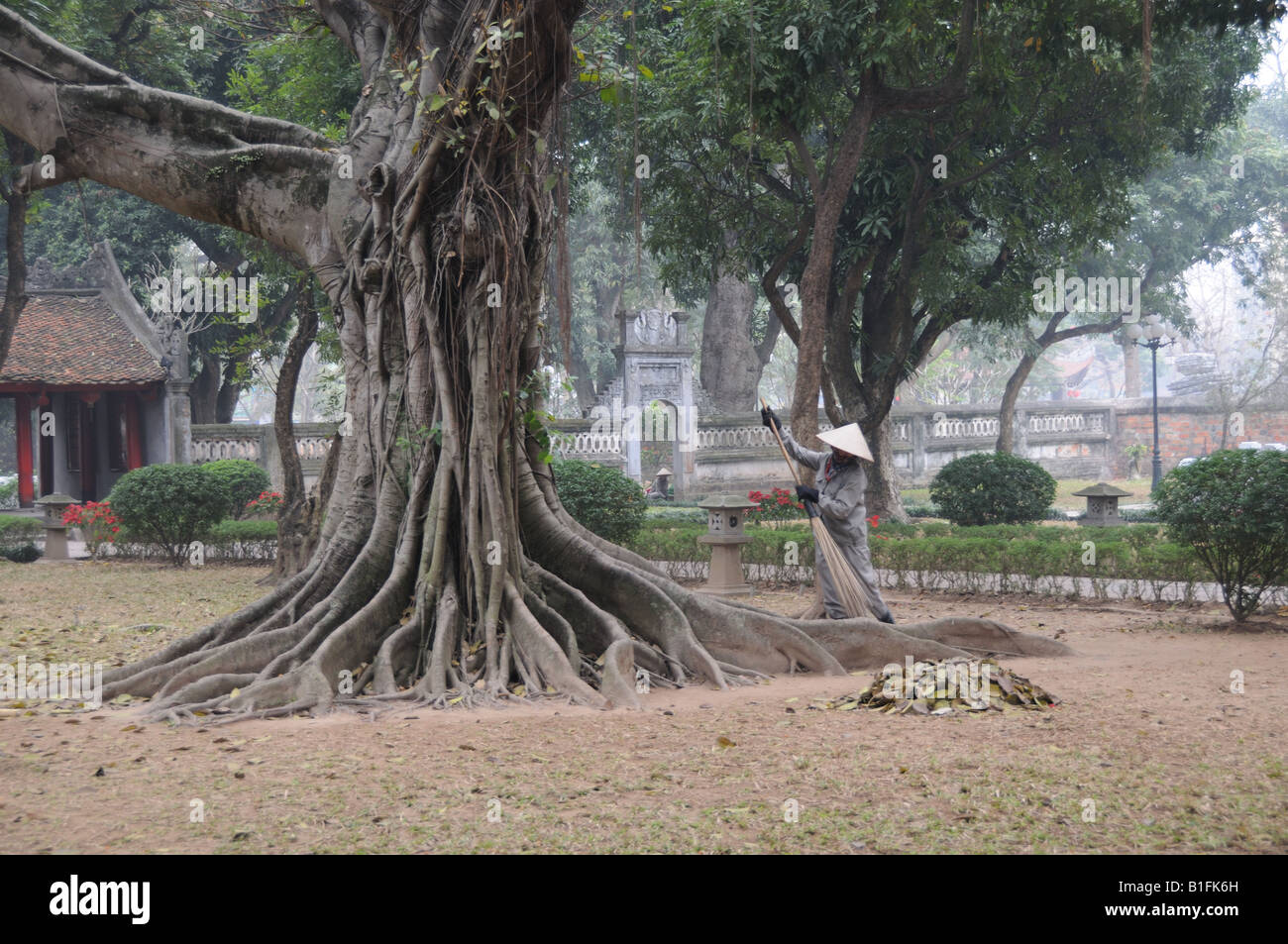 Vietnamese sweeping hi-res stock photography and images - Alamy