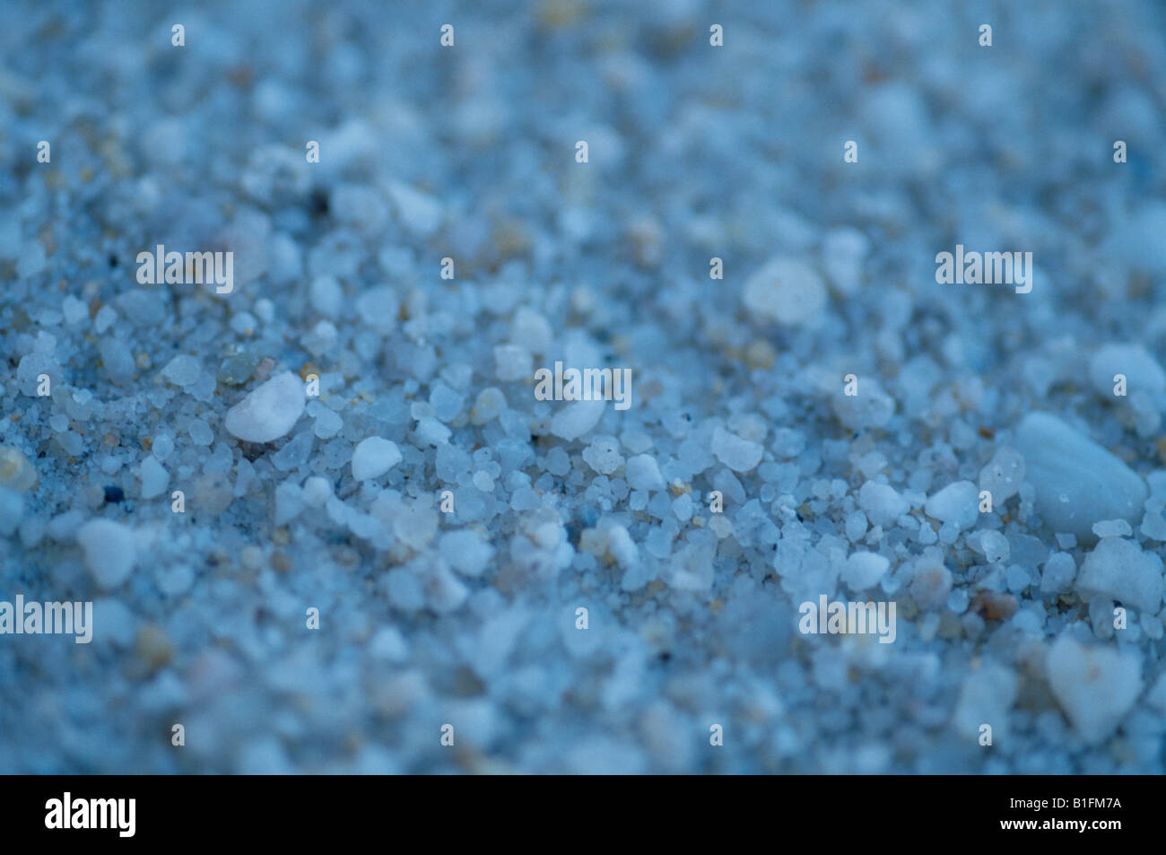 Grains Of Sand Stock Photo - Alamy