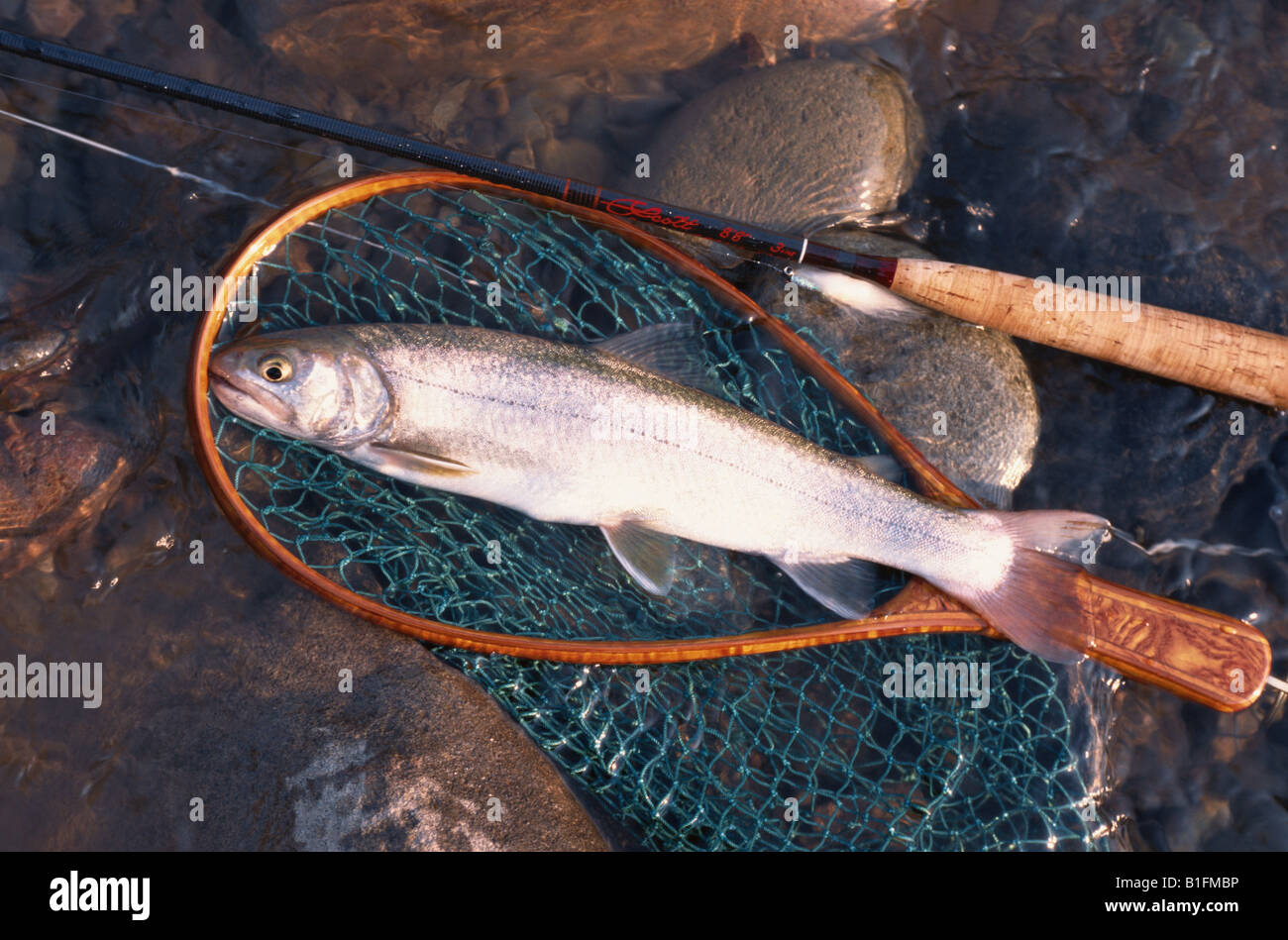 Fishing Net, Rod And Fish Stock Photo - Alamy