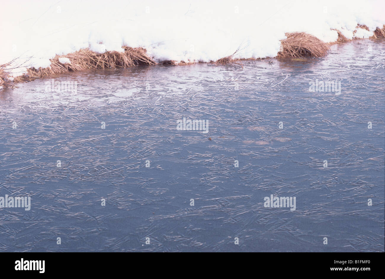 Frozen Water Surface Stock Photo - Alamy