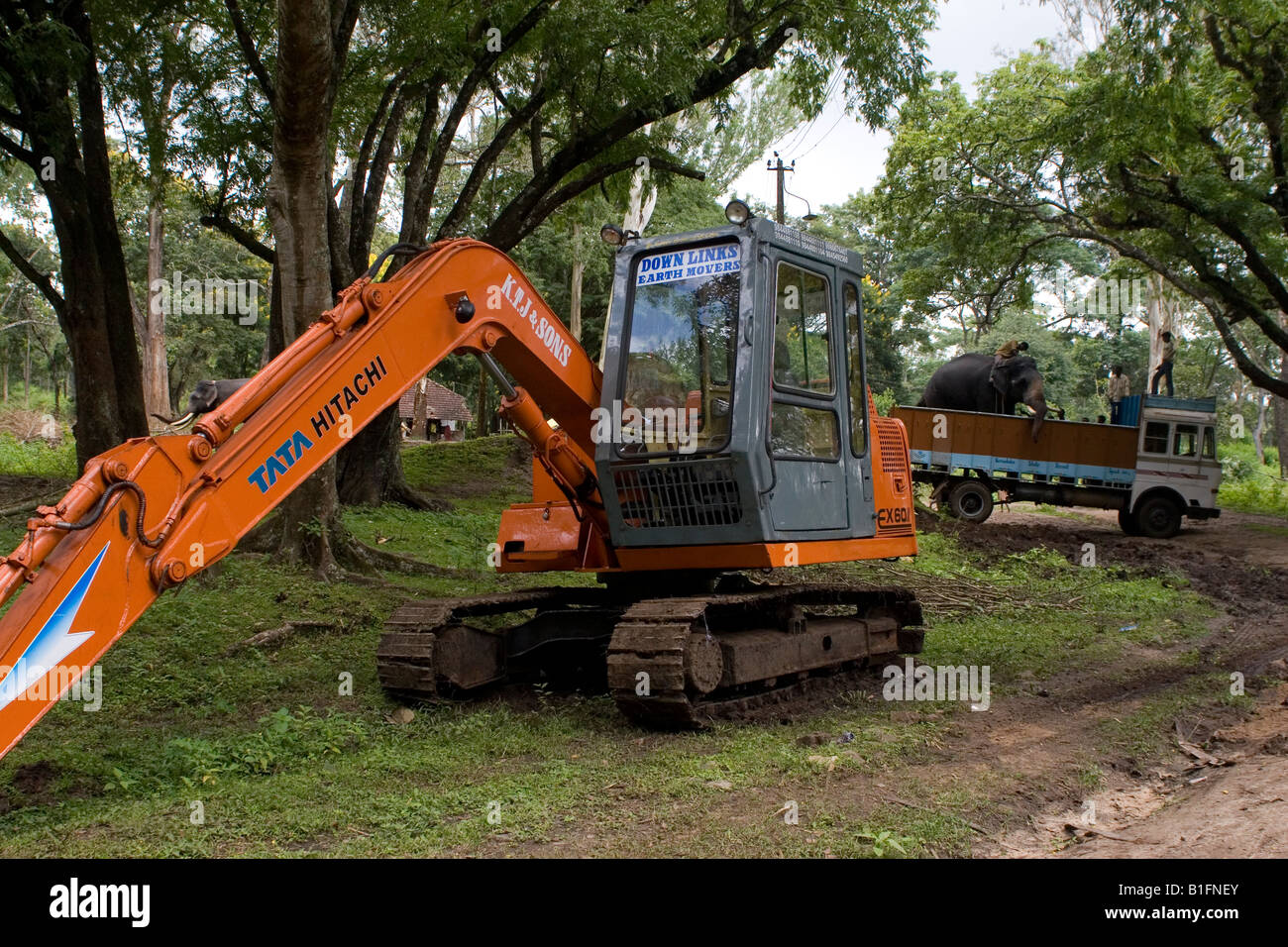 A hydraulic digging machine stands in the foreground while elephants in ...