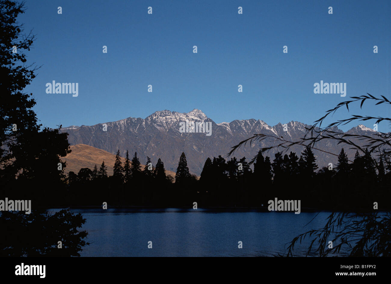 Mountains Behind Trees Stock Photo - Alamy