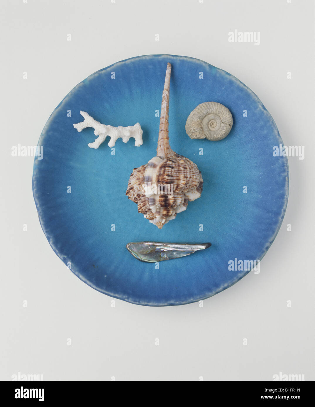 Face Made From Seashells Stock Photo - Alamy