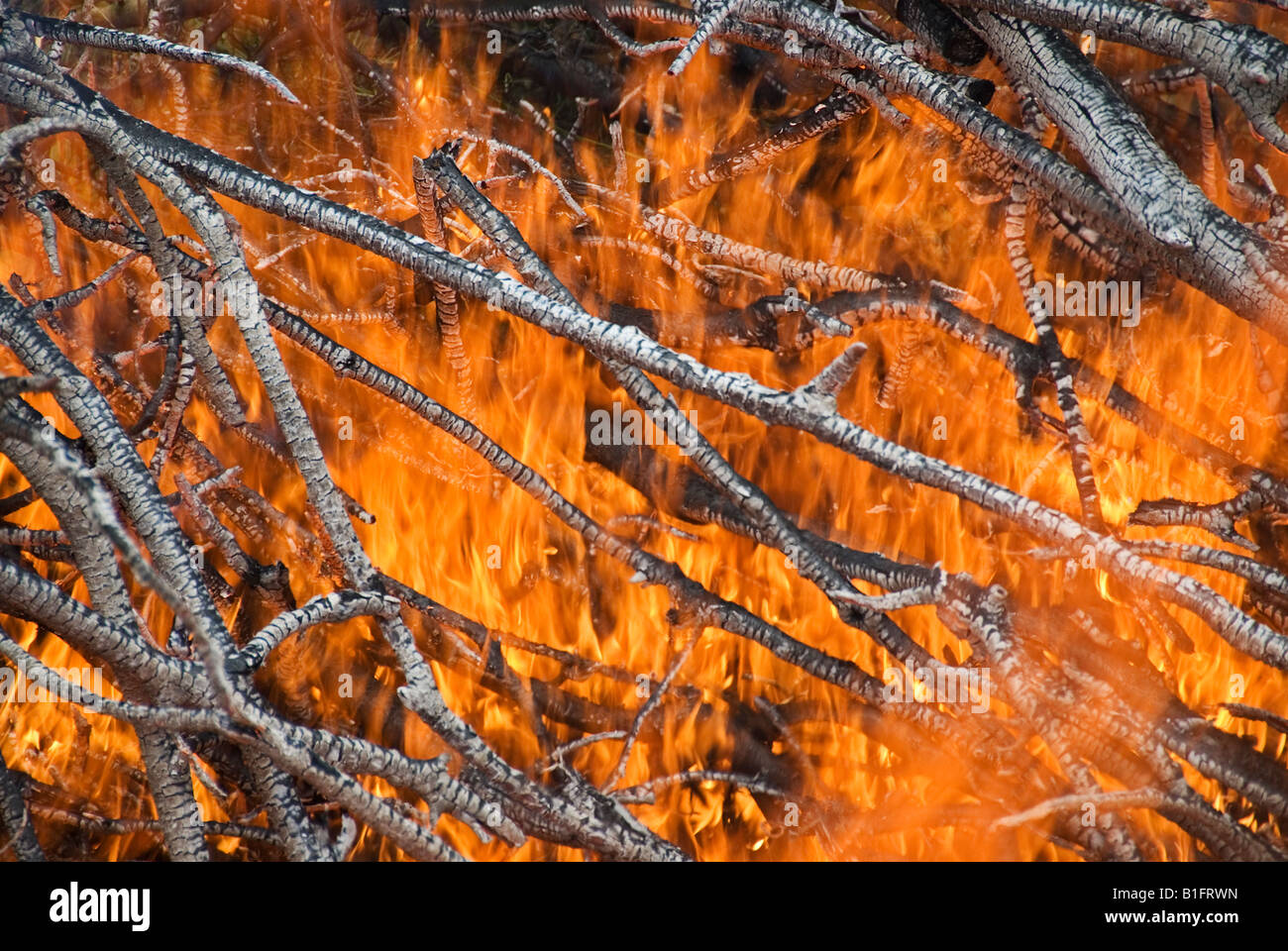 Stock photo of a close up shot of the intense heat of a fire Stock ...