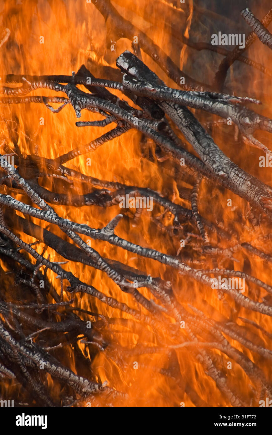 Stock photo of a close up shot of the intense heat of a fire Stock ...