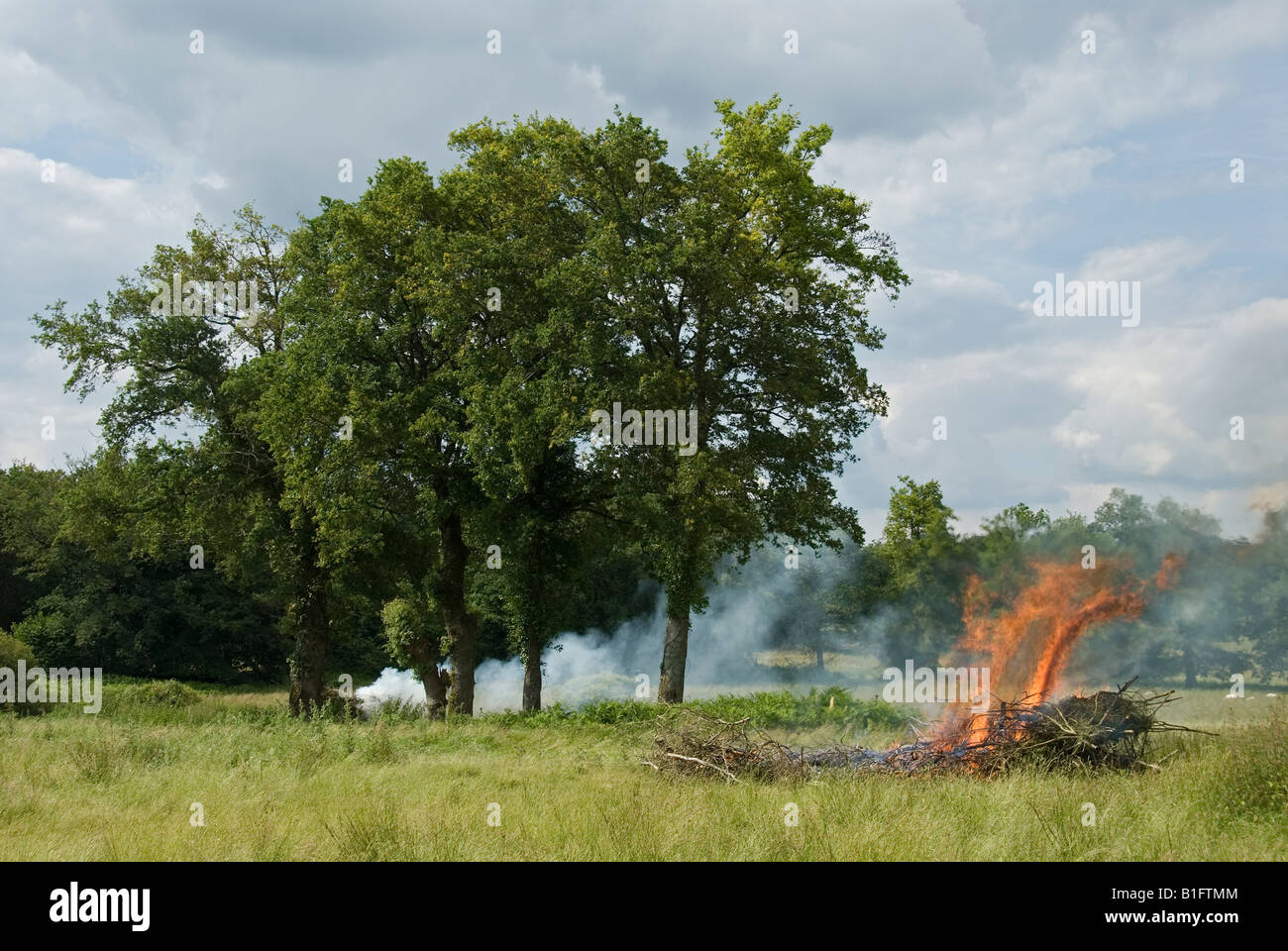 Too much fuel being burnt hi-res stock photography and images - Alamy