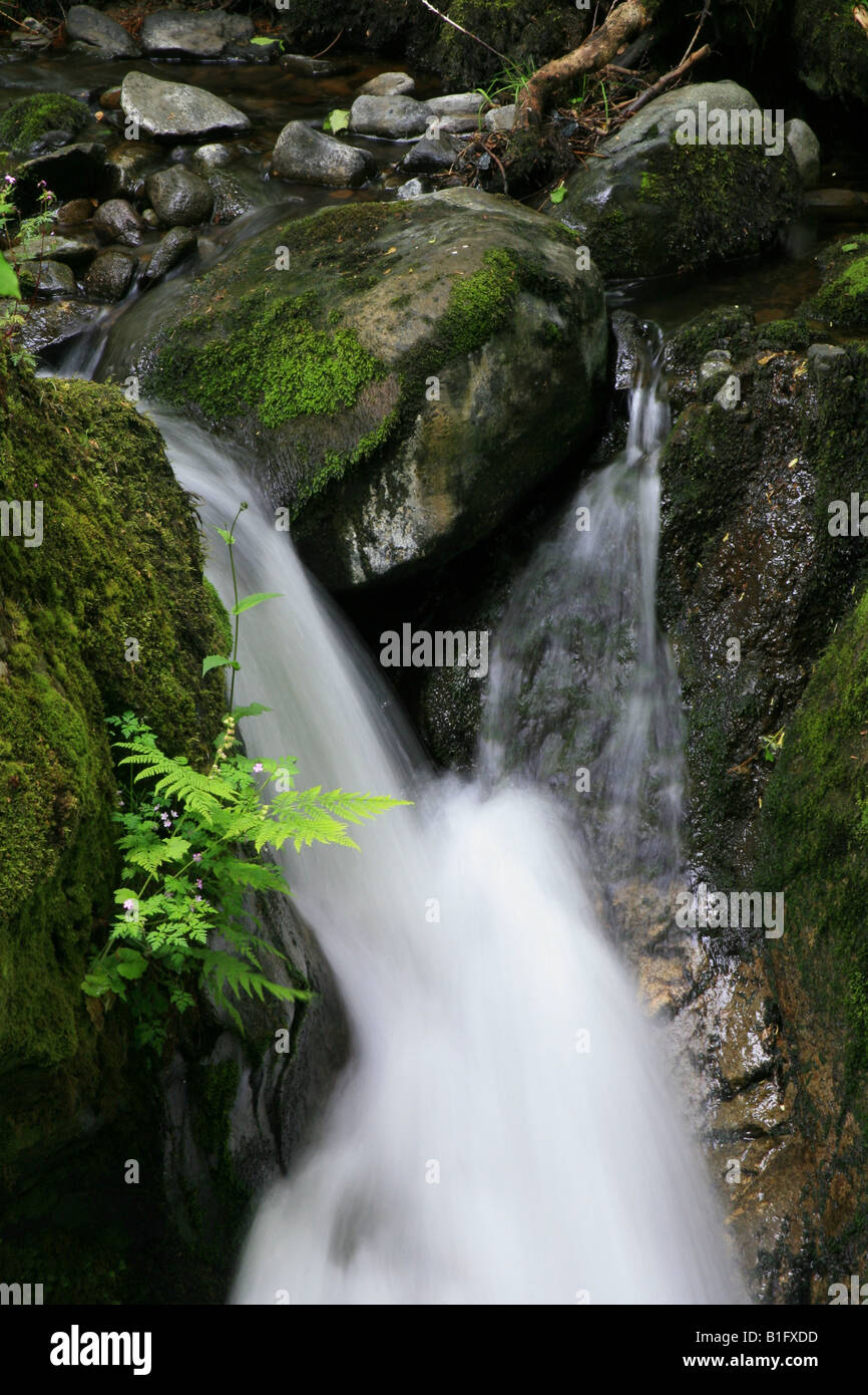 Waterfall in the Lake District Stock Photo - Alamy