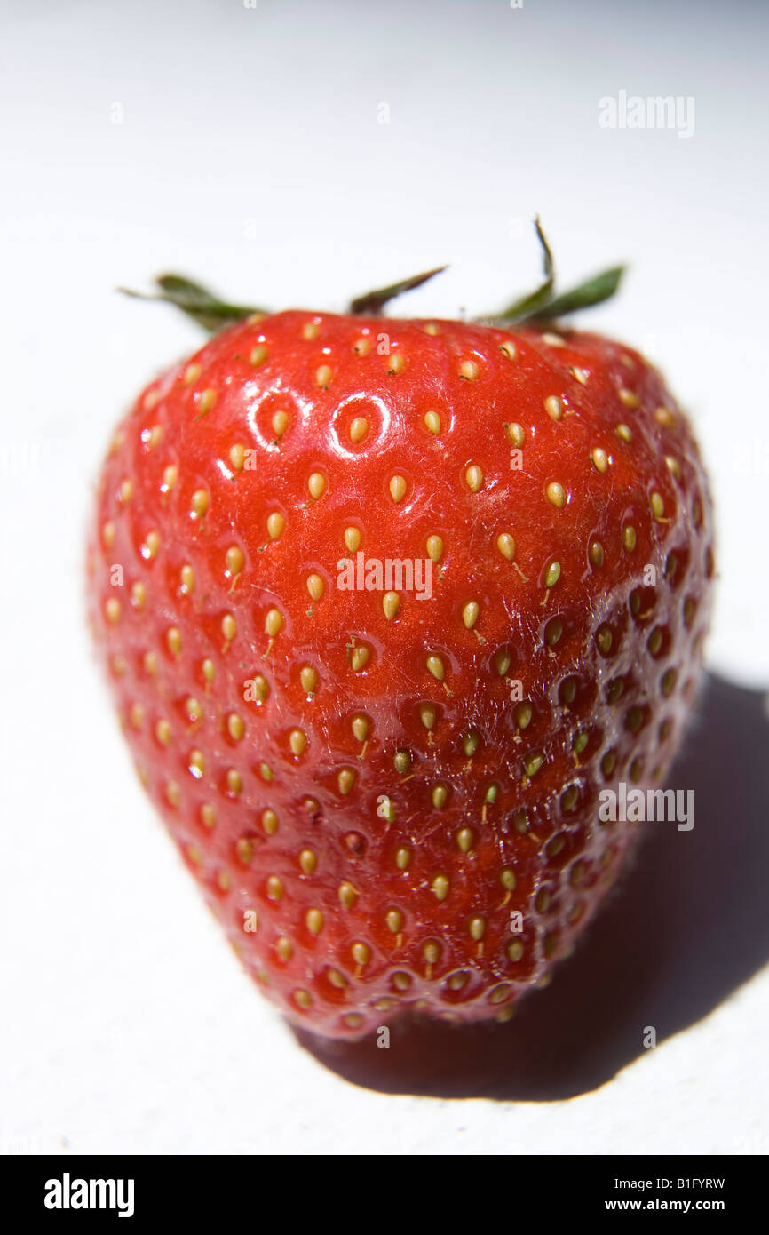 Single red strawberry on white studio background Stock Photo - Alamy