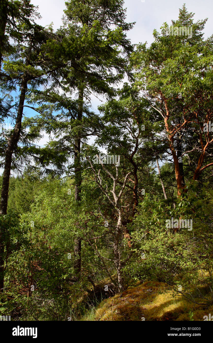 Mt Work provincial park Stock Photo - Alamy