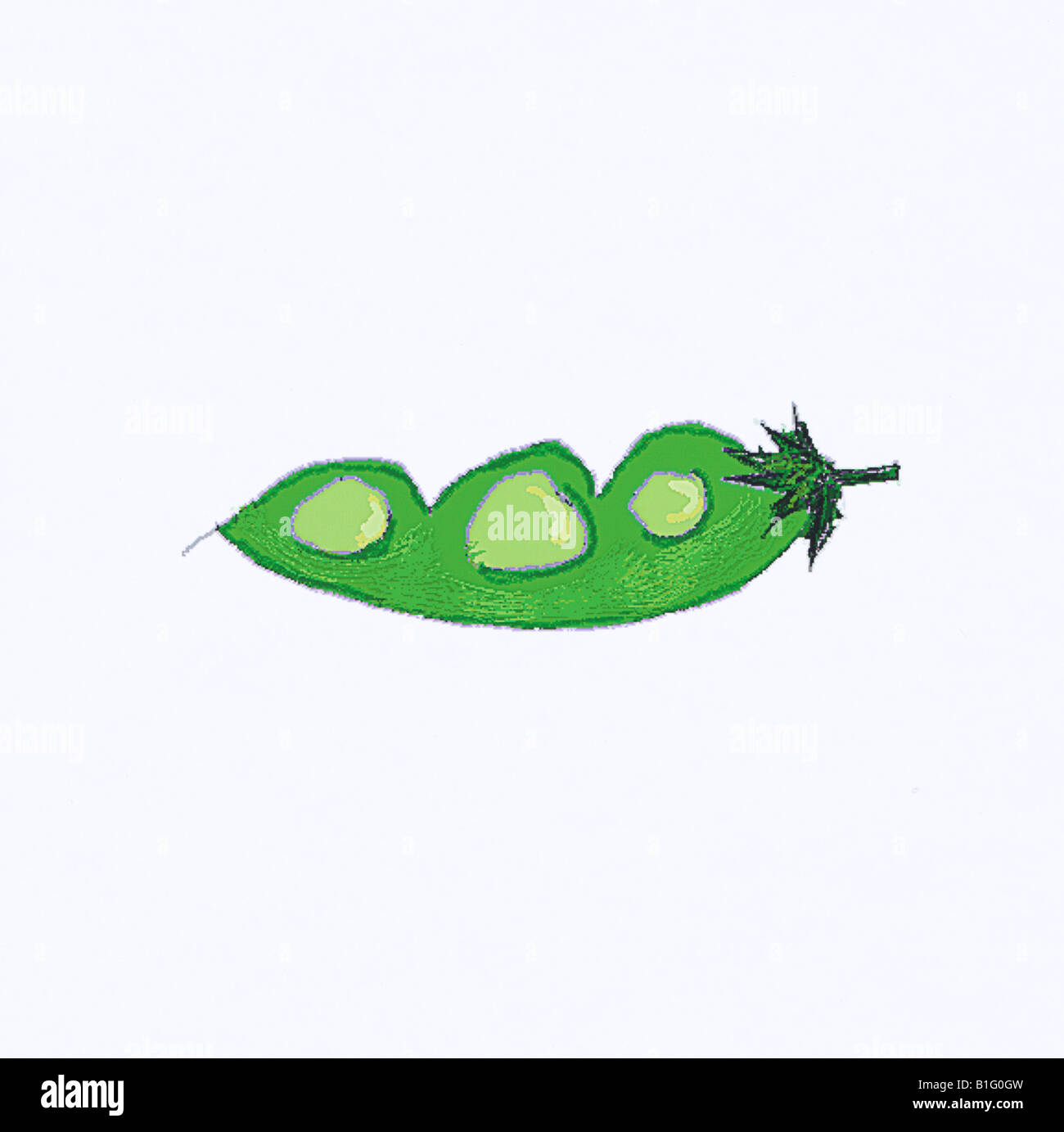 String beans illustration hi-res stock photography and images - Alamy