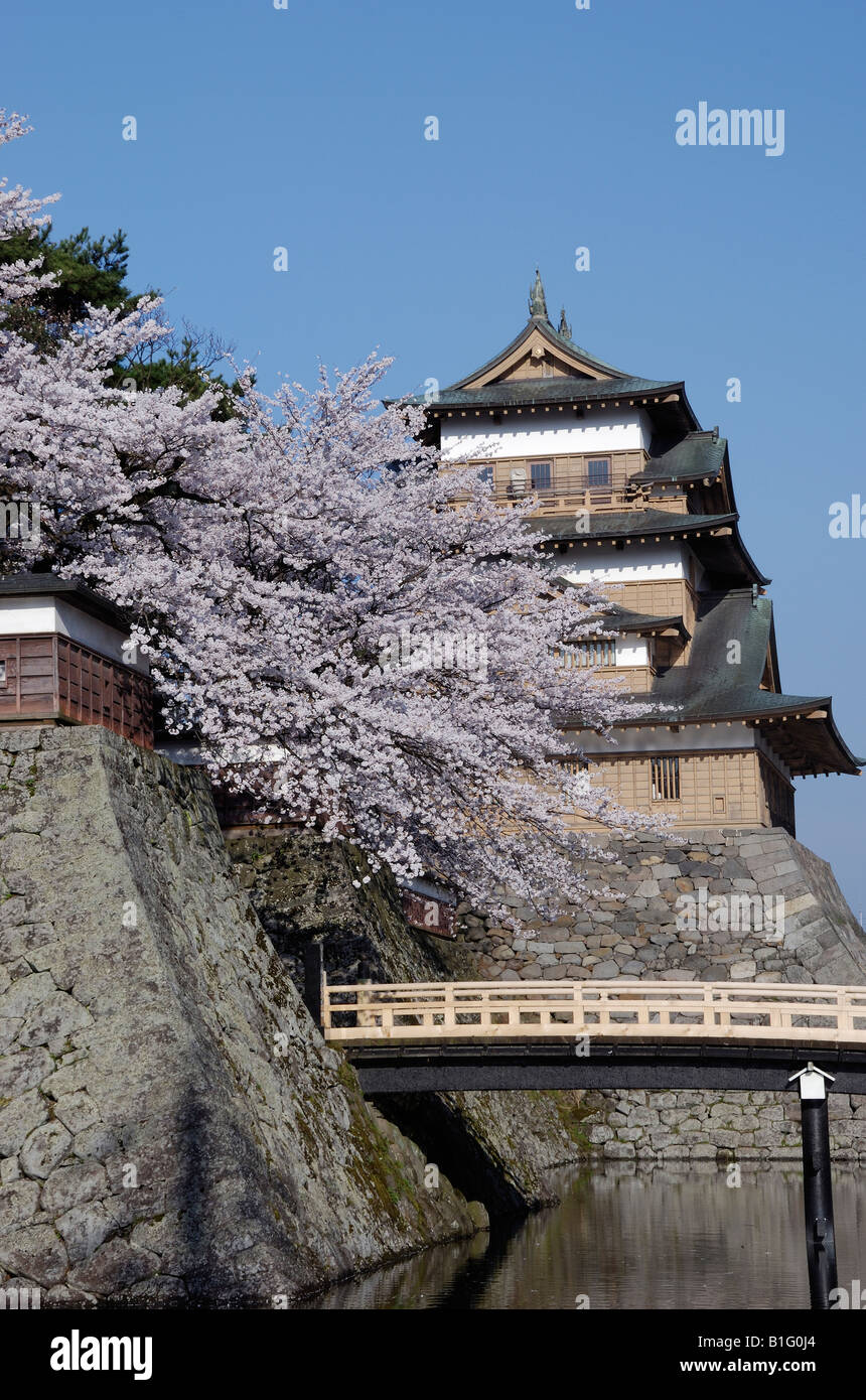 The Takashima Castle A Bridge And A Cherry Tree Stock Photo - Alamy