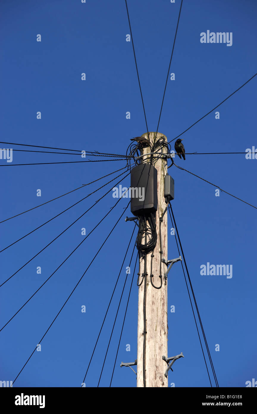 Junction Box Wiring High Resolution Stock Photography and Images - Alamy