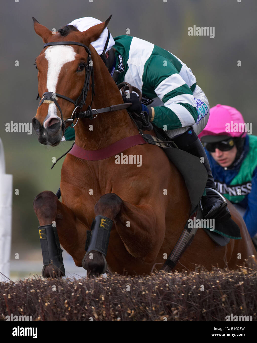 Horse racing jockeys jumping a jump Stock Photo - Alamy