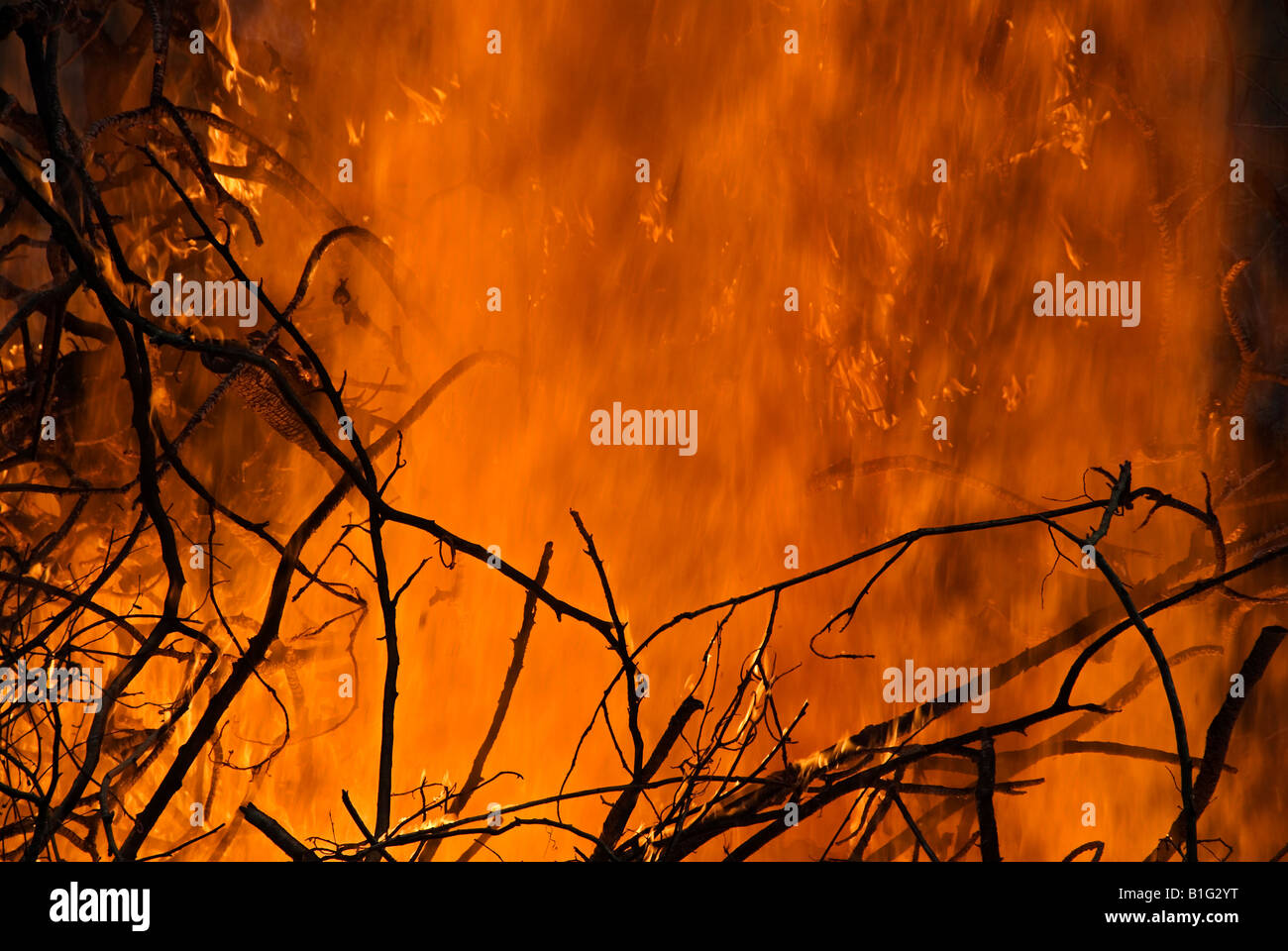 Stock photo of a close up shot of the intense heat of a fire Stock ...