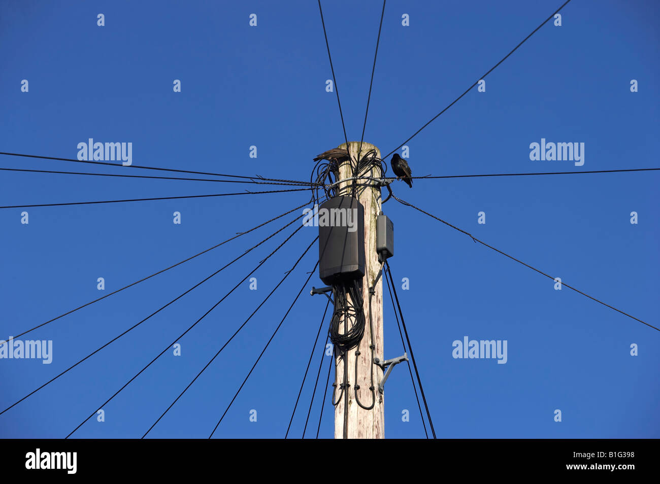 Junction Box Wiring High Resolution Stock Photography and Images - Alamy