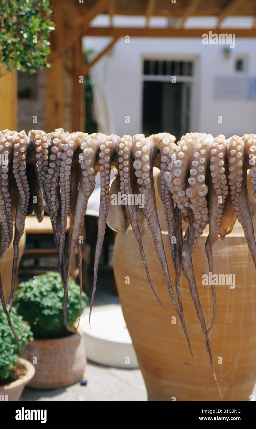A traditional Greek scene of an octopus drying in the sun in Naoussa ...