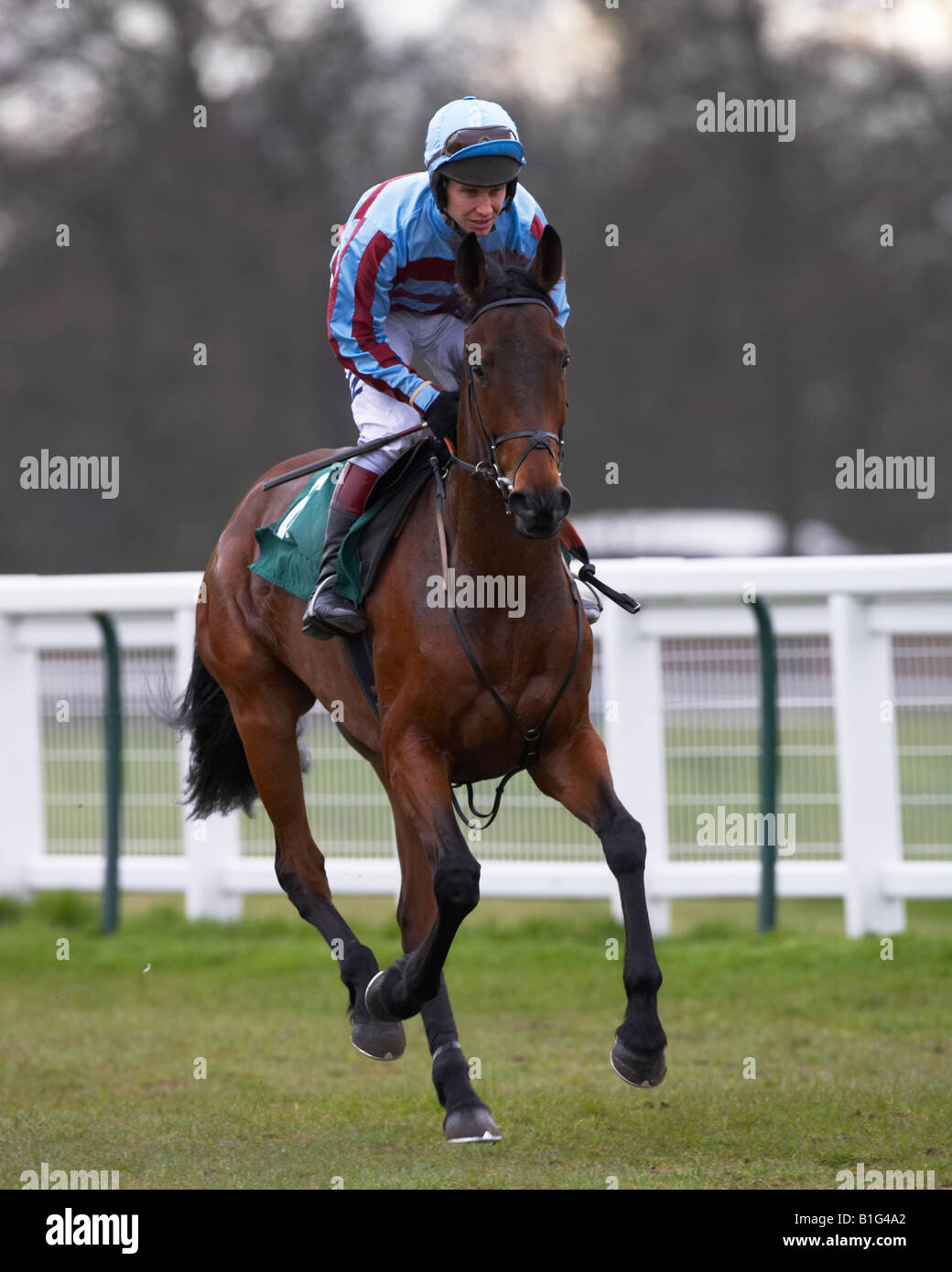 Jockey horse race hi-res stock photography and images - Alamy
