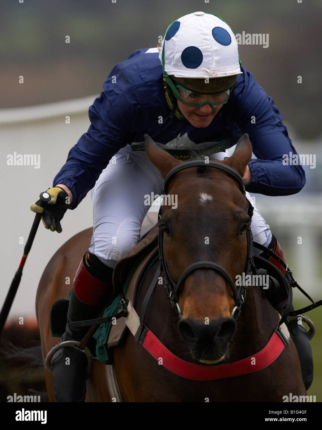 Horse racing jockey close up Stock Photo - Alamy