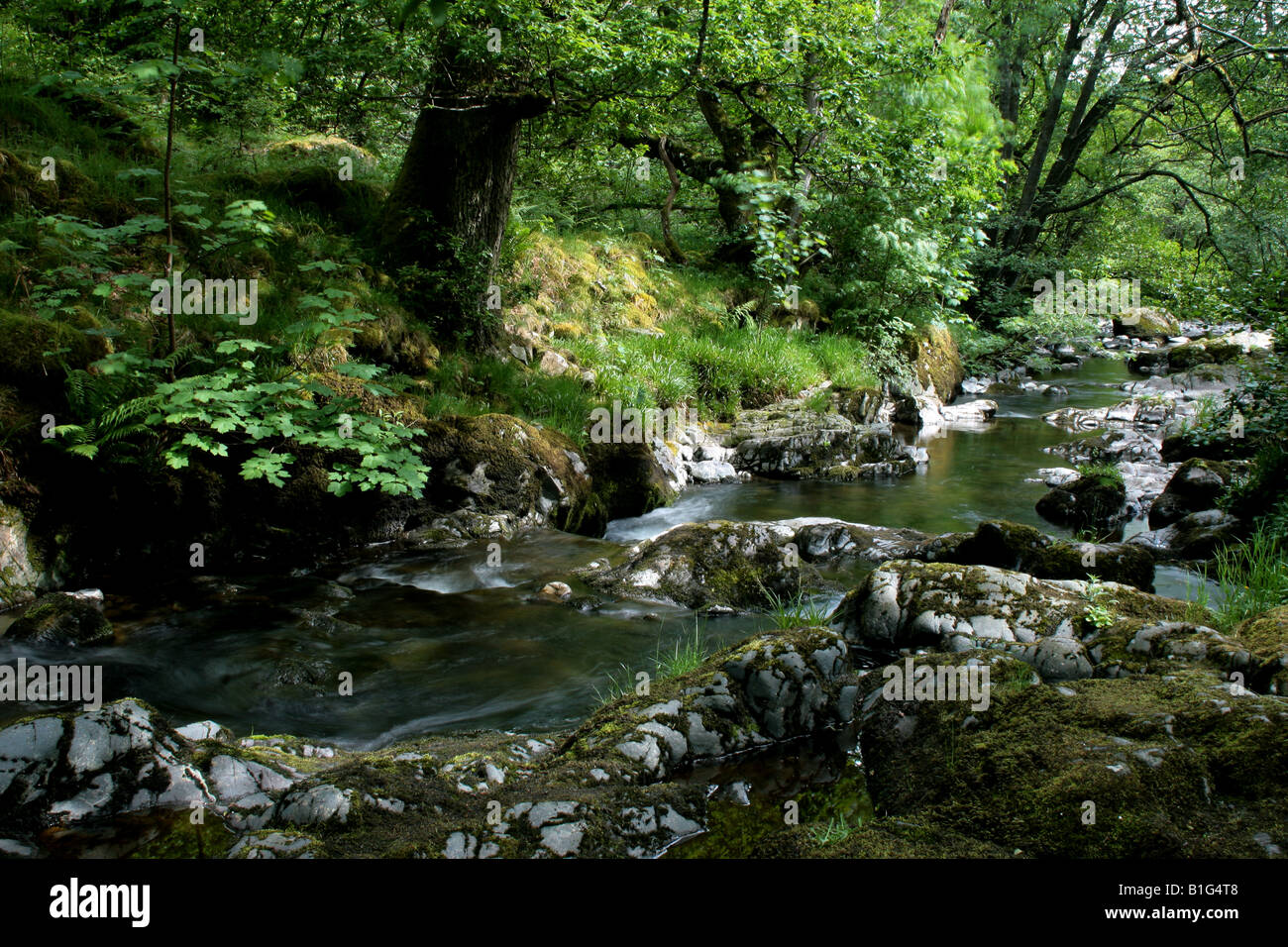 Mountain stream in the Lake District Stock Photo - Alamy