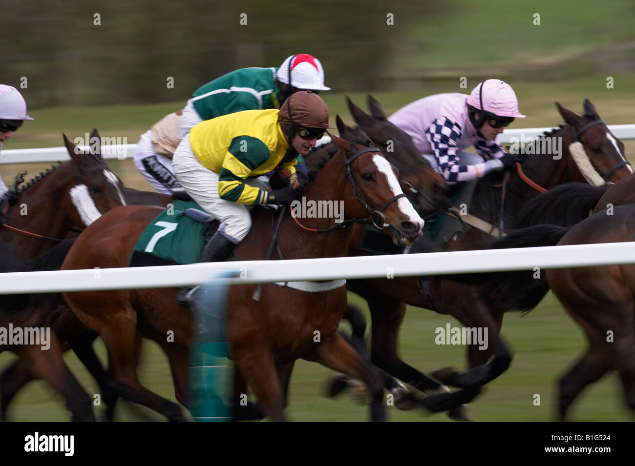 Horse racing jockeys travelling at speed Stock Photo - Alamy
