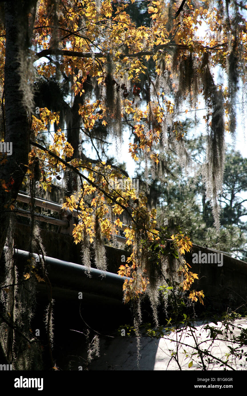 Lake Dora and Mount Dora in Central Florida is a popular travel ...