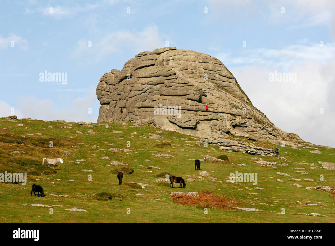Devon dartmoor haytor hay tor hi-res stock photography and images - Alamy
