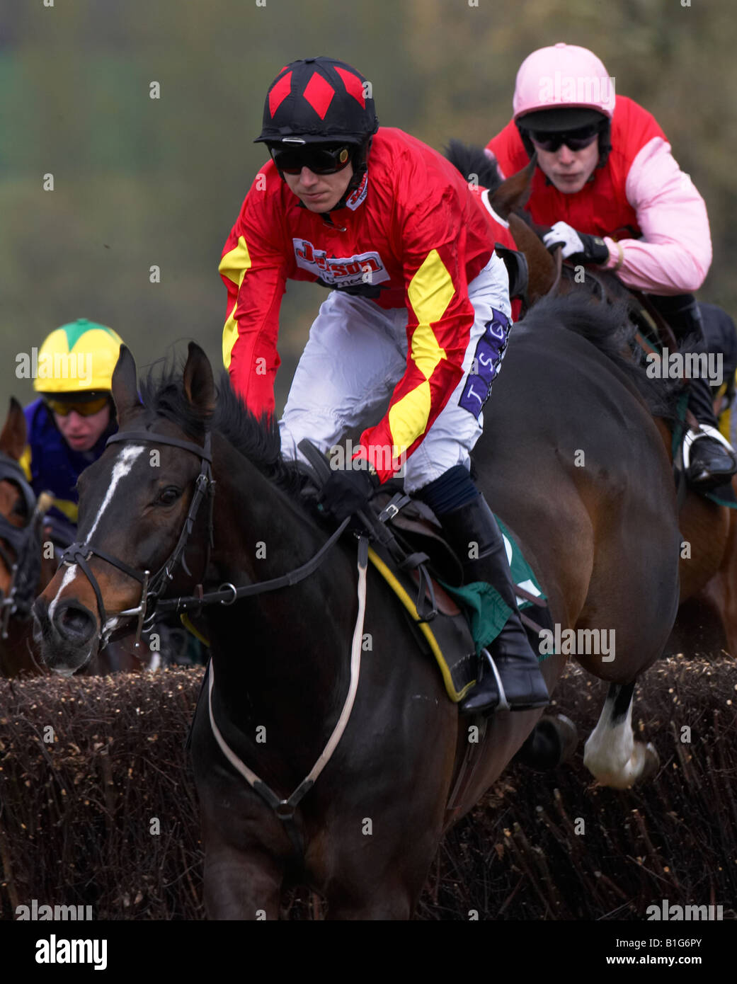 Professional national hunt jockey hi-res stock photography and images ...