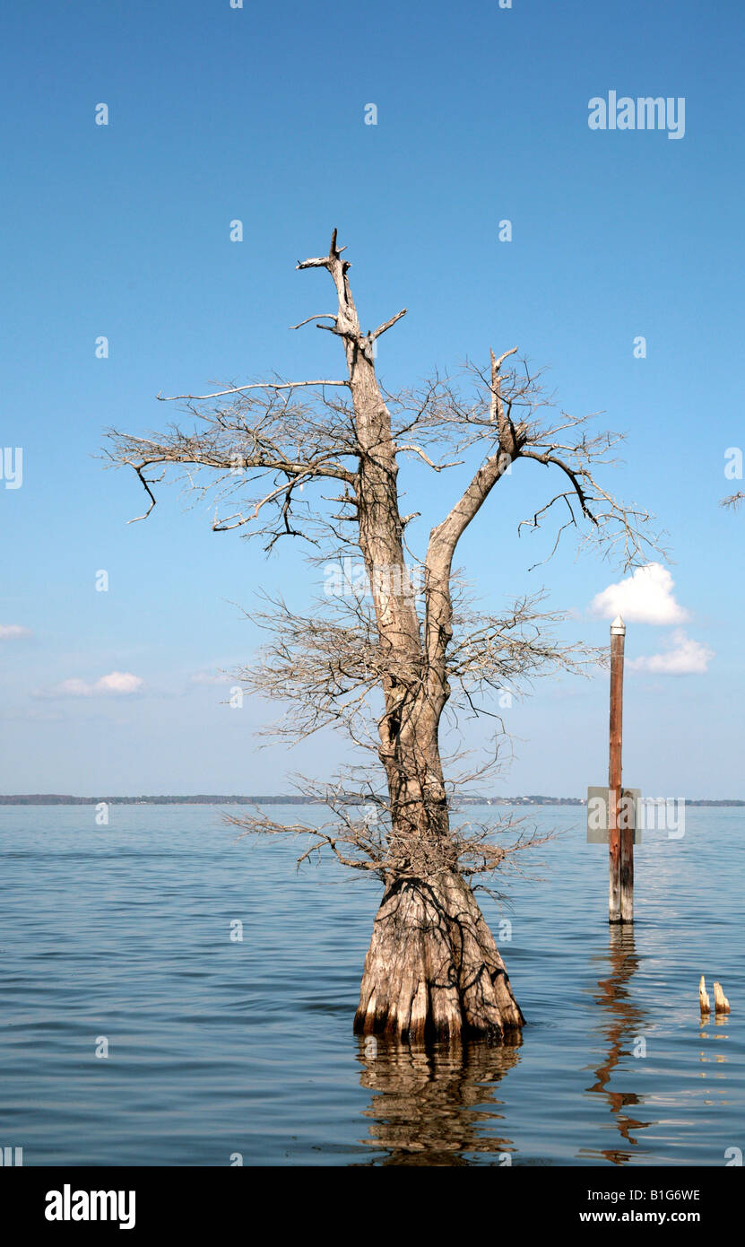 Lake dora canal hi-res stock photography and images - Alamy