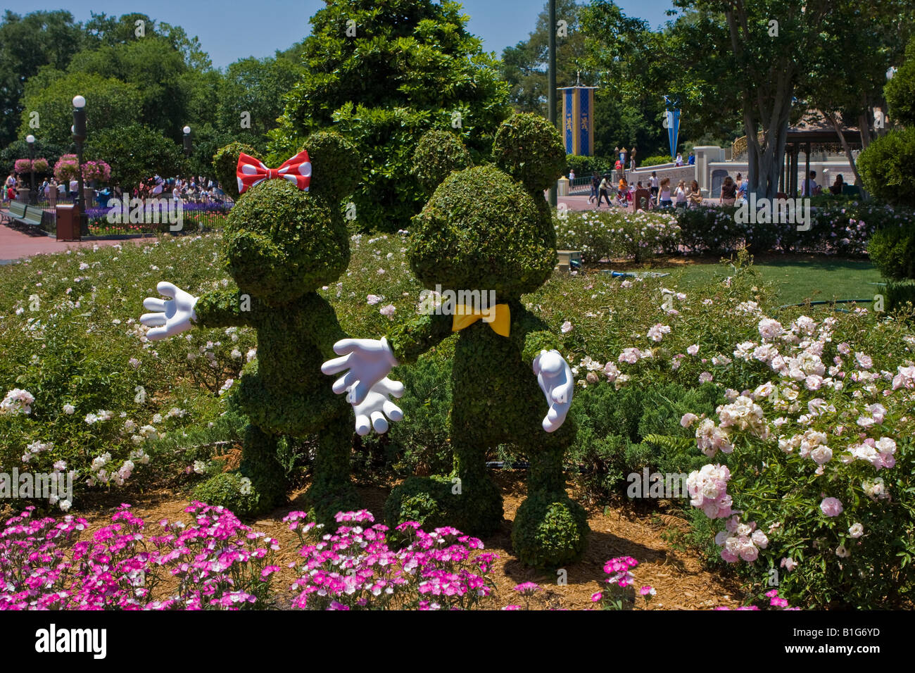 Mickey Mouse Bush High Resolution Stock Photography and Images - Alamy