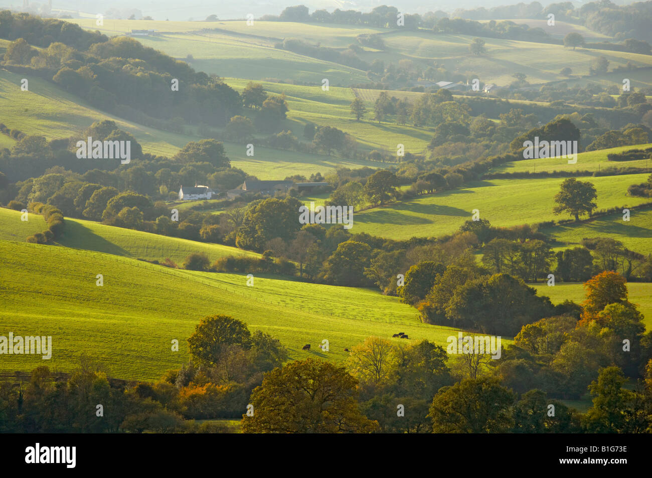 Llanishen Stock Photos & Llanishen Stock Images - Alamy