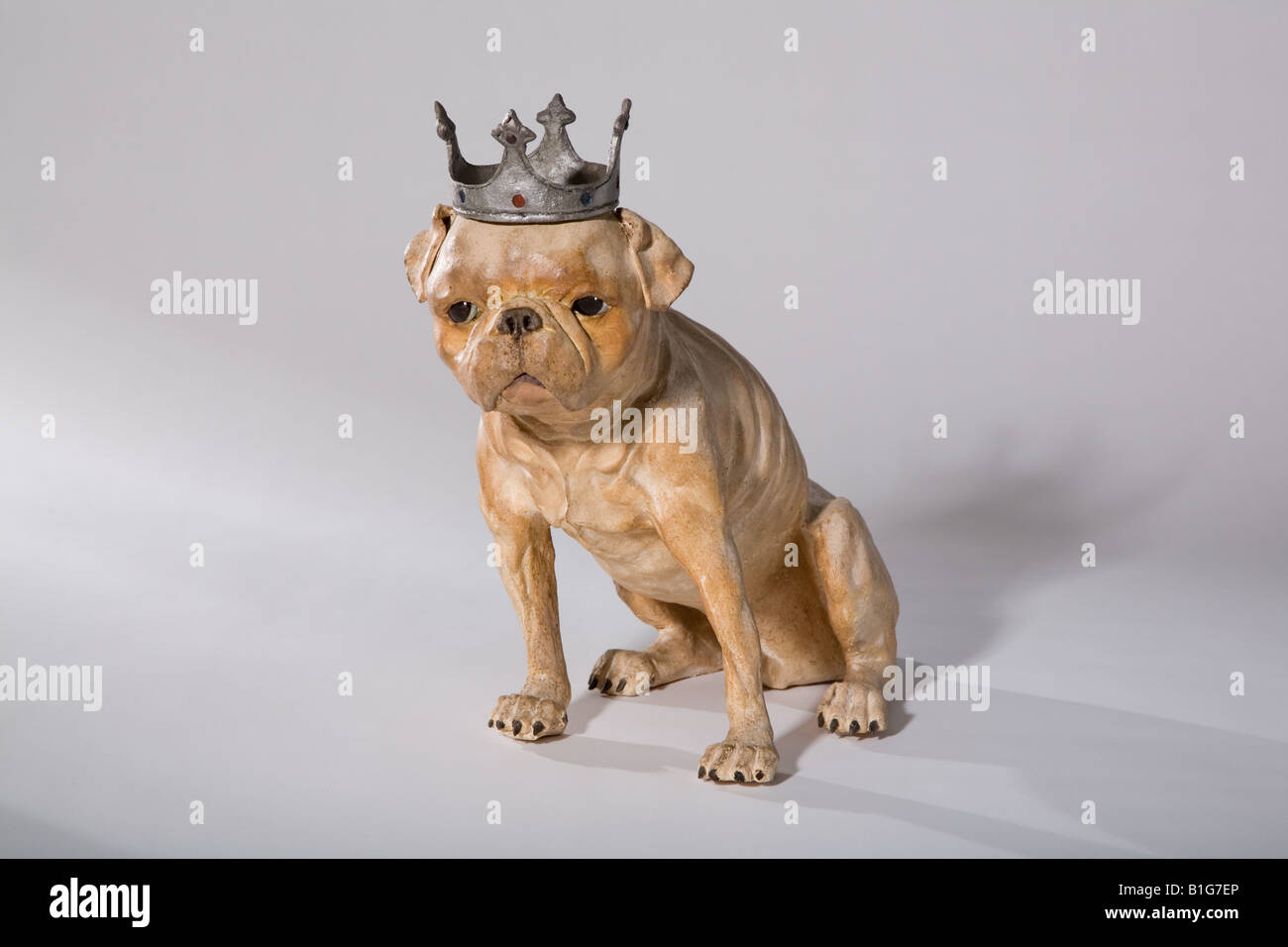 Pug Wearing Crown Stock Photo - Alamy