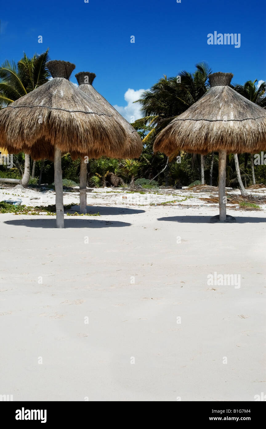 tropical beach at summer Mexico riviera maya Stock Photo - Alamy
