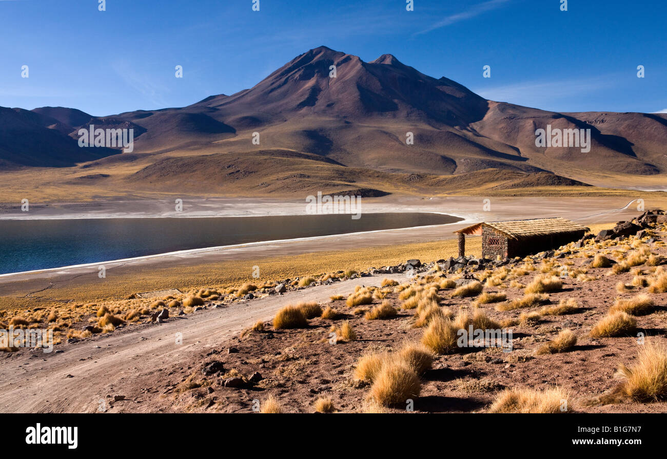 Miniques Volcano and Miscanti Lagoon in the Atacama Desert in Chile ...