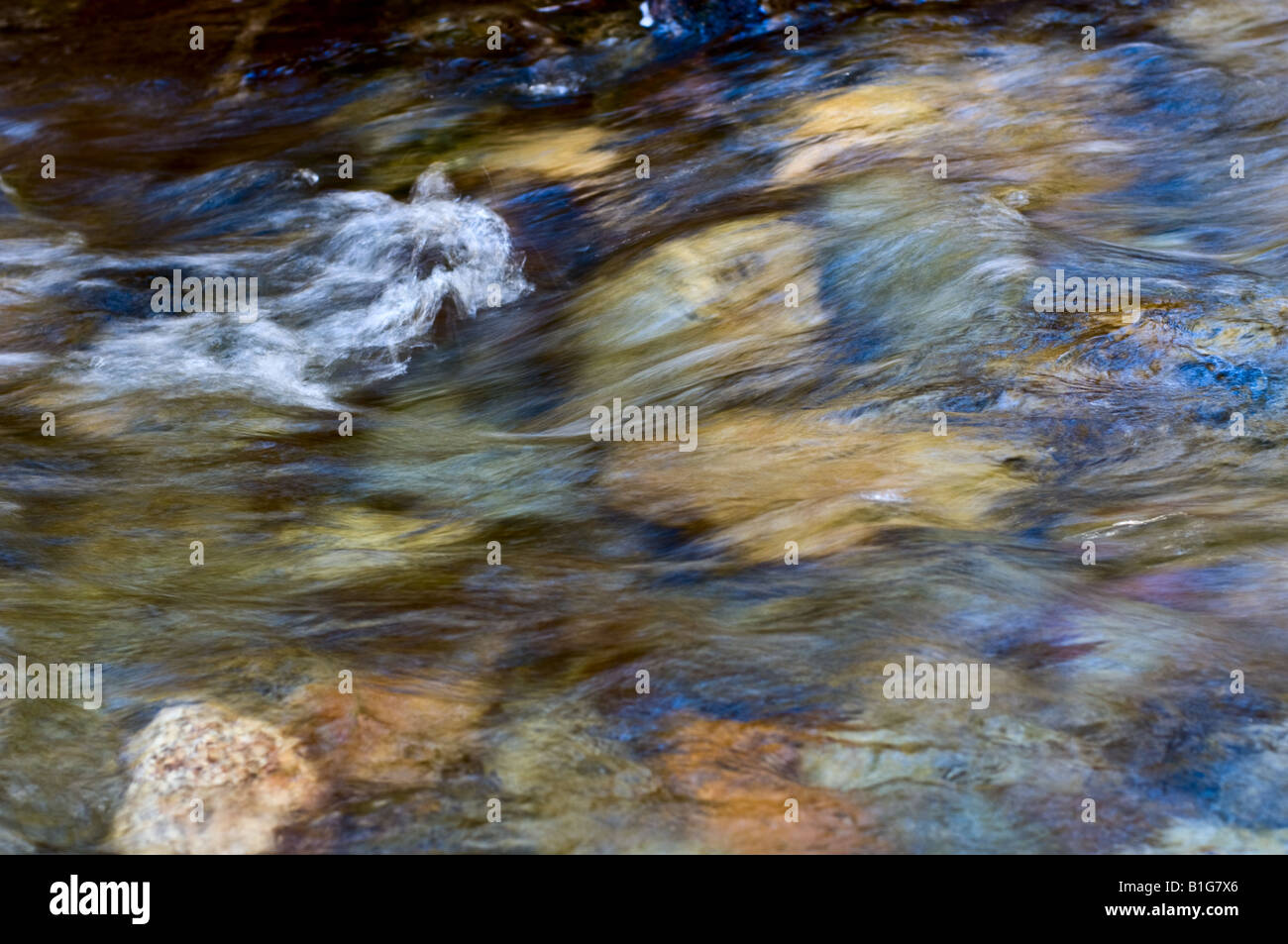 clear stream water Stock Photo - Alamy