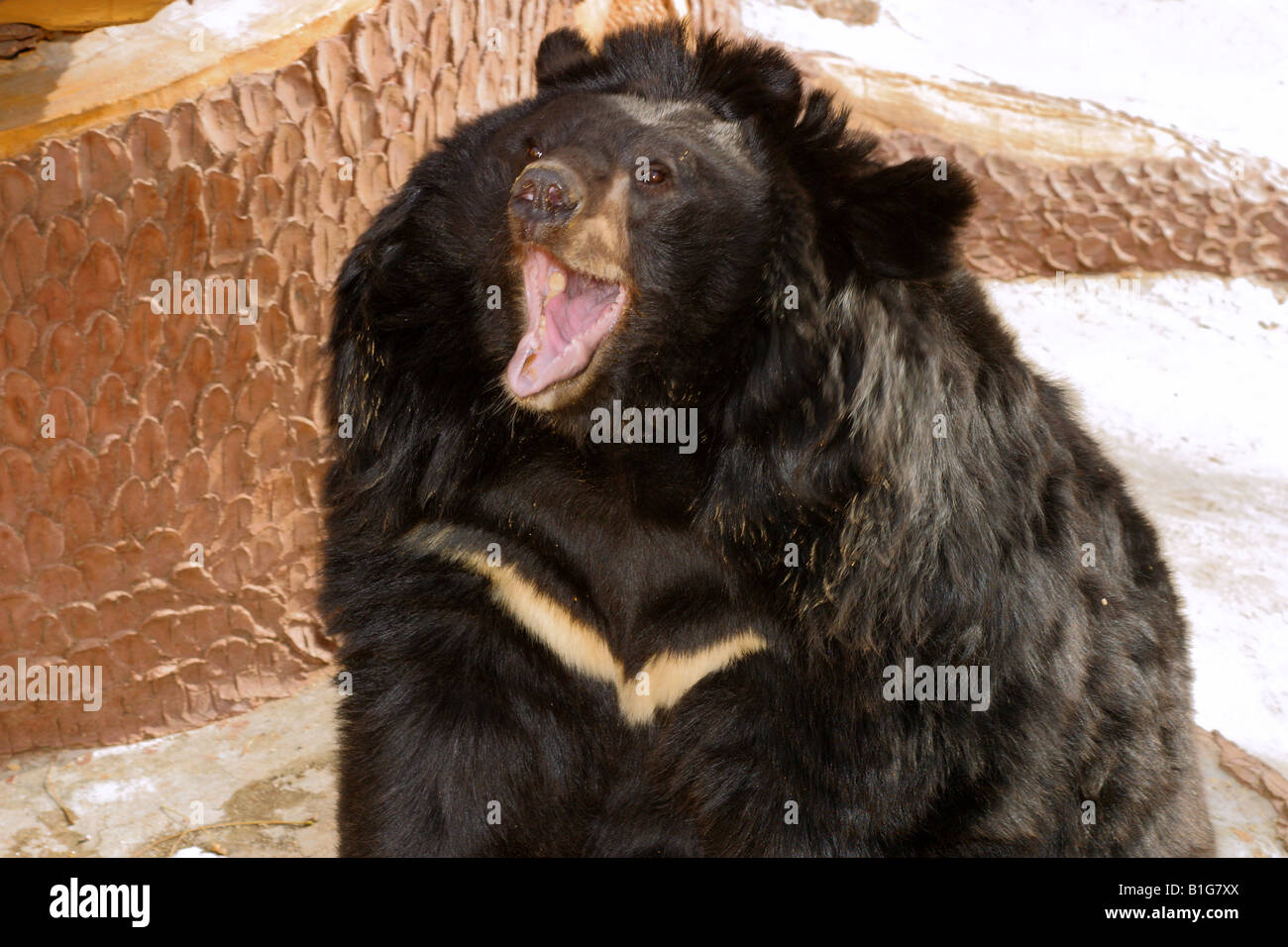 China Beijing traditional Stock Photo - Alamy