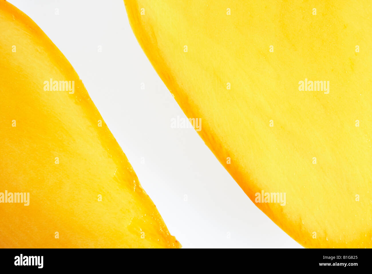 Cut Open Halves Of Mango On White Background In Studio Stock Photo - Alamy