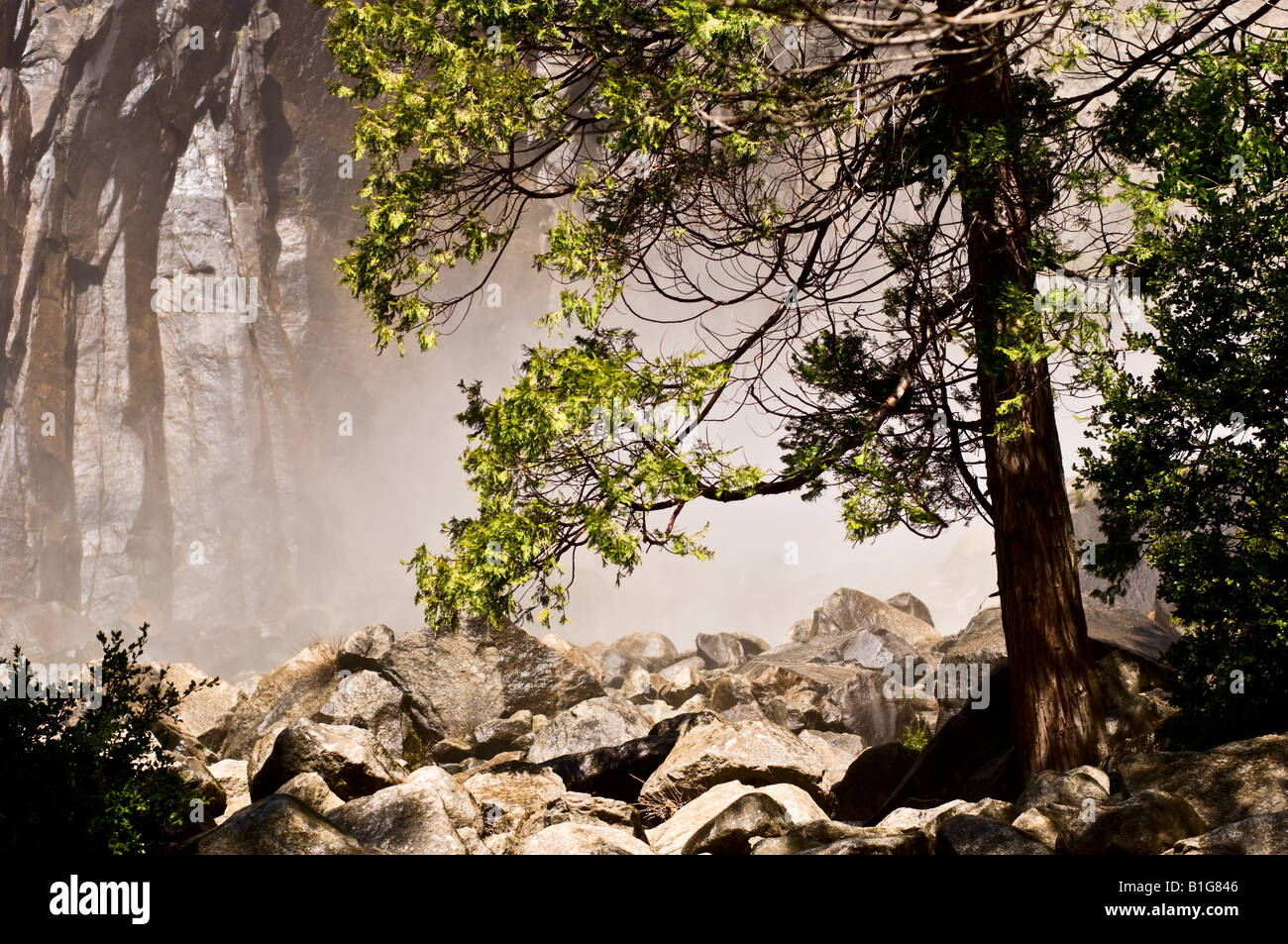 Talus rock at base of cliff hi-res stock photography and images - Alamy