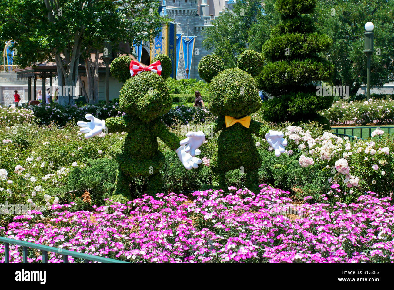 Mickey and Minnie Mouse Topiary Shrub at Walt Disney World Resort in ...